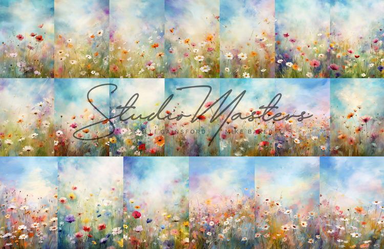 Summer Meadows | Studio Masters