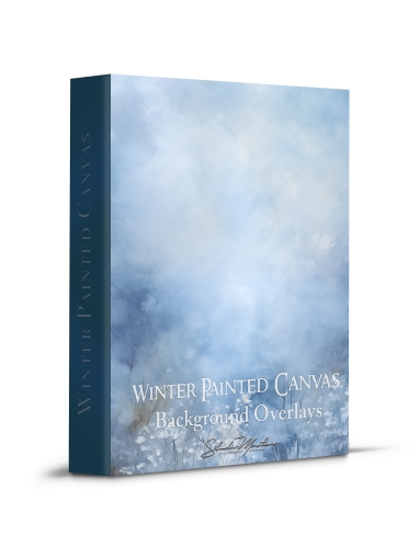 Winter Castles | Studio Masters